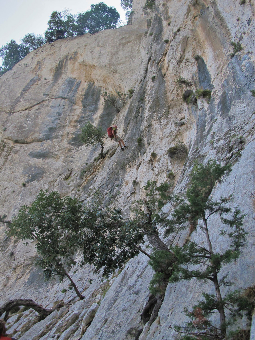 Selvaggio Blu | Wild Blue | Sardinia