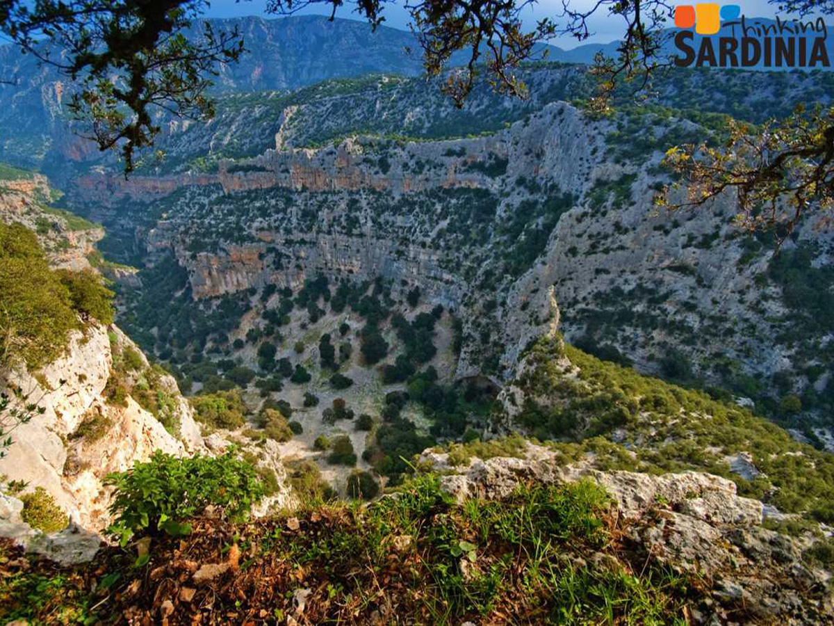 Hiking trail S'Istrada Longa | Sardinia